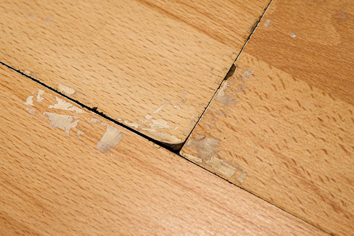 Document Flooring Issues for Legal Success