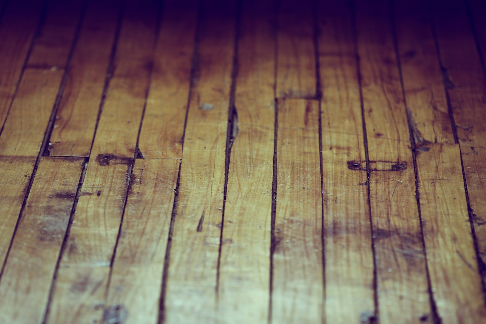 Wood Floor Cupping: Causes and Solutions